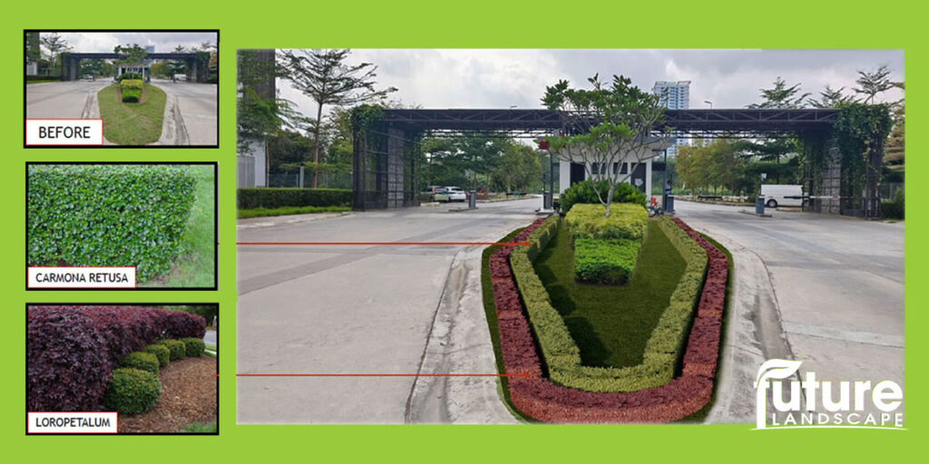 Our Services - Future Landscape