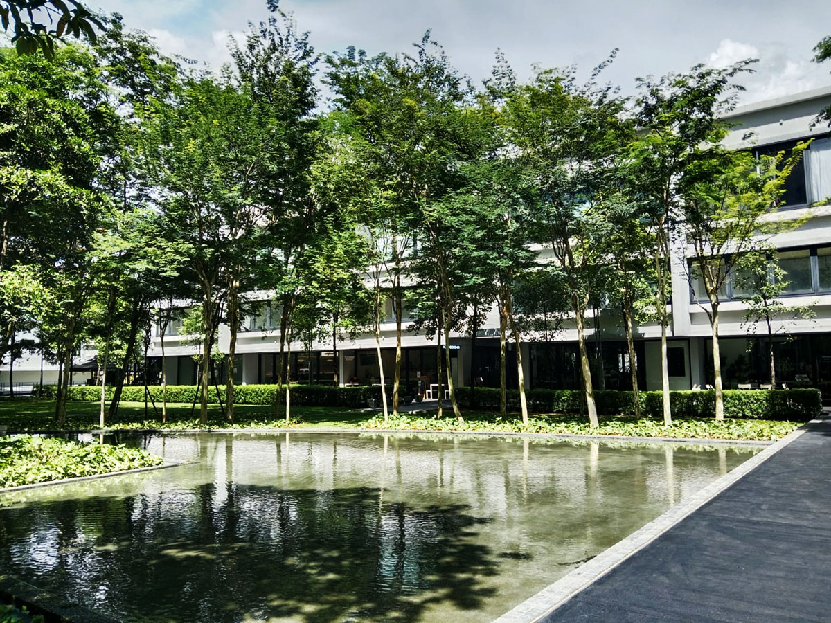 The Hub SS2 - Future Landscape